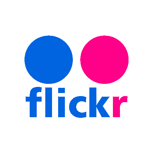 The Future of AI in Digital Marketing